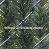 Hedge Link Slat for Chain Link Fence Natural Hedge Look | Your Fence Store